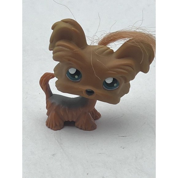 Littlest Pet Shop | Toys | Littlest Pet Shop Lps 6 Brown Shi Tzu Dog ...